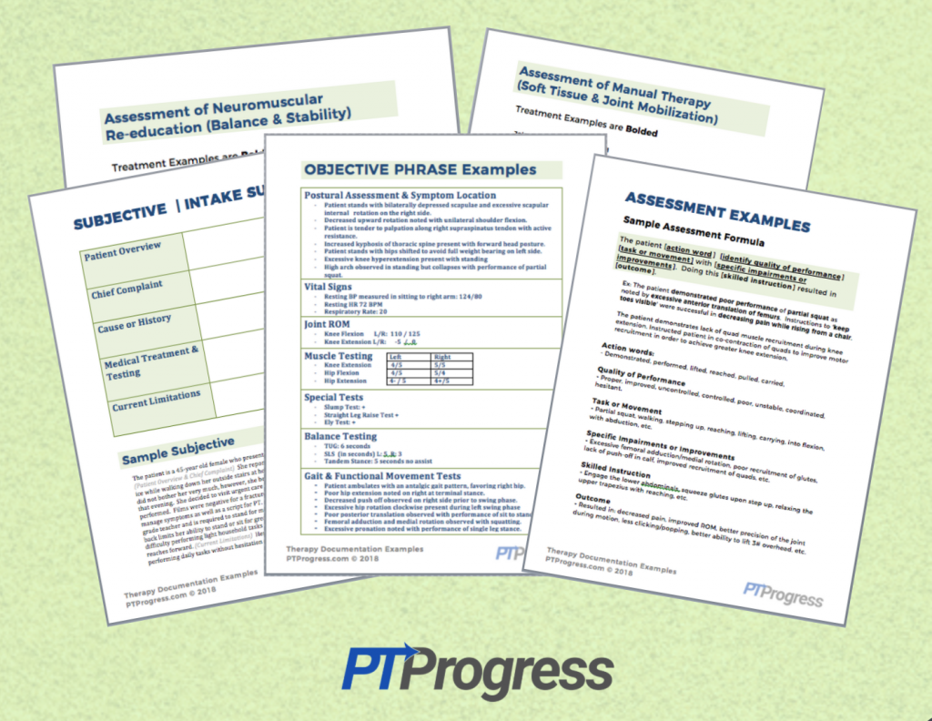 Skilled Therapy Documentation Examples