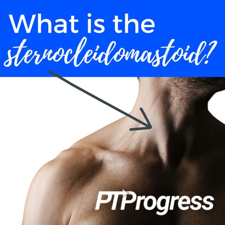All About the Sternocleidomastoid Muscle: Anatomy and Treatment